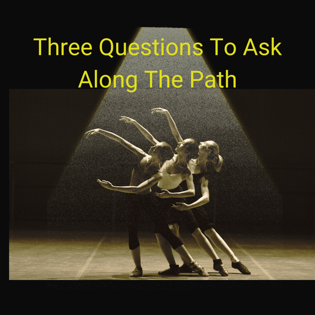 Three Questions To Ask Along The Ballet Training Path – Ballet Help Desk
